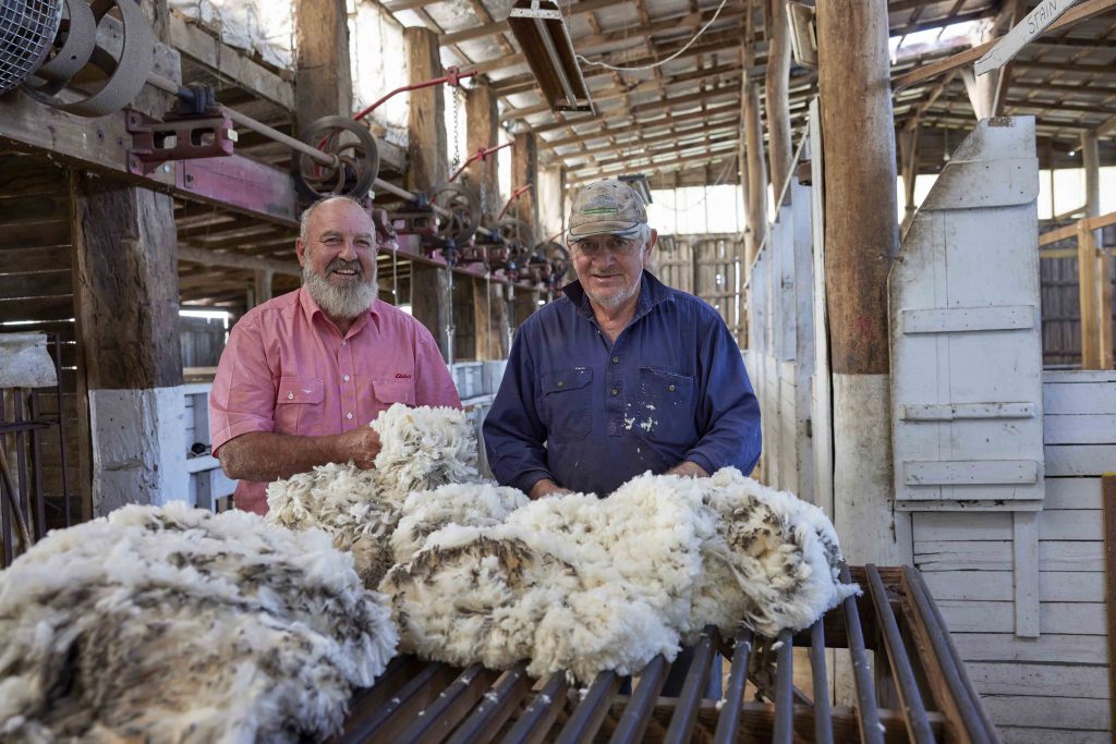 Elders’ world-first wool launch | spec.com.au