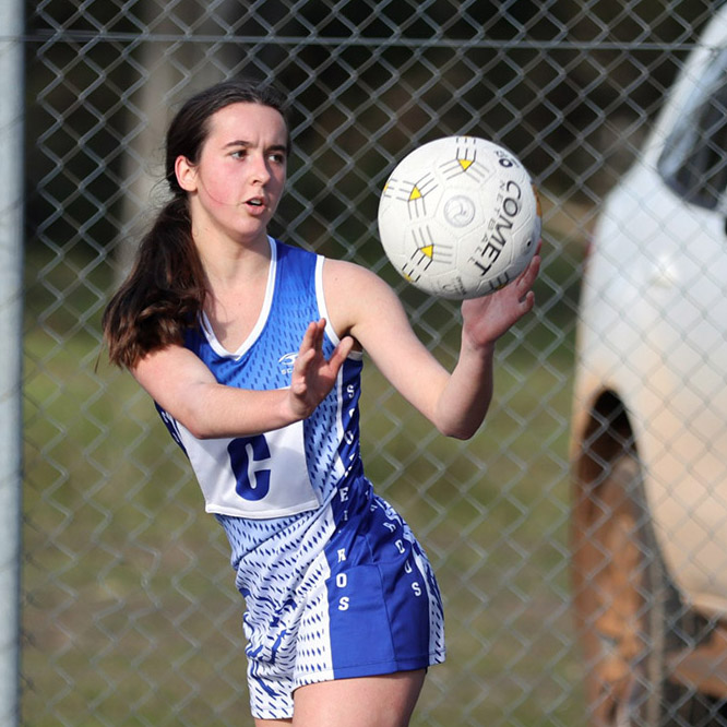 SOUTHERN ROOS IN REBUILD PHASE | spec.com.au